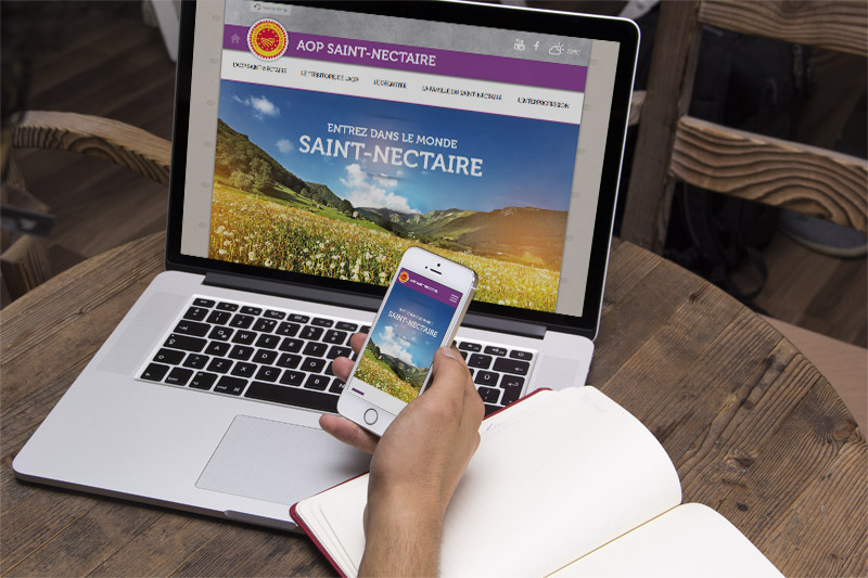 Un nouveau site pour l’AOP Saint-Nectaire ! — Fromage AOP Saint-Nectaire