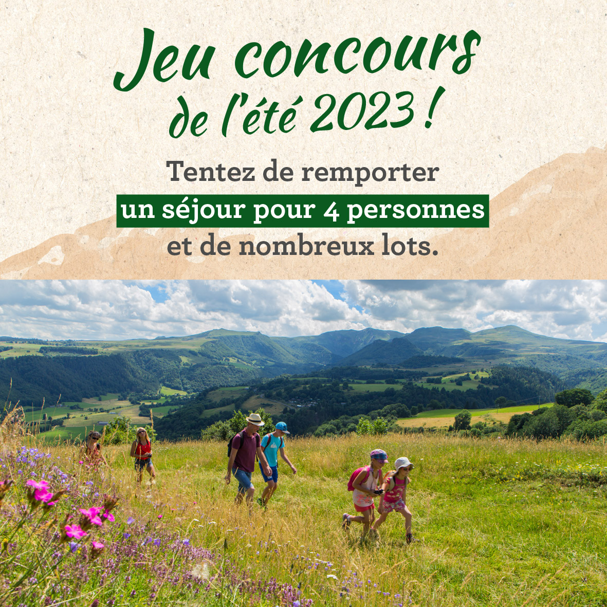 Fromage AOP Saint-Nectaire : nectar des prairies naturelles