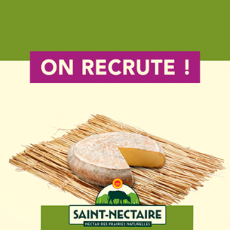 Fromage AOP Saint-Nectaire : nectar des prairies naturelles