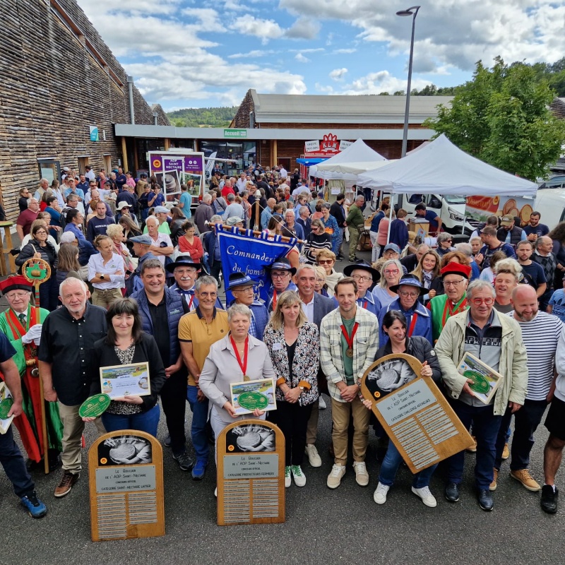 Fromage AOP Saint-Nectaire : nectar des prairies naturelles
