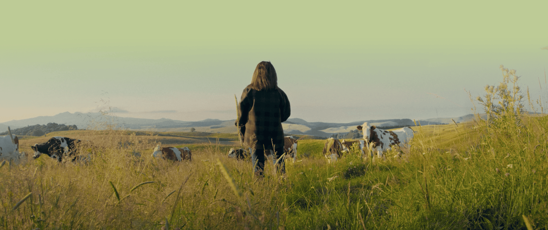 Un premier spot TV National pour affirmer l’identité de l’AOP Saint ...