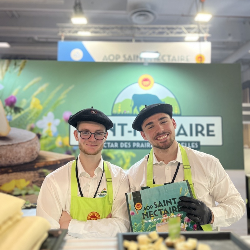 Fromage AOP Saint-Nectaire : nectar des prairies naturelles